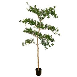 9' Shady Lady Olive Silk Tree w/Pot -Green | Olive Trees — Silks Are ...